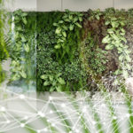 SmartServer IoT - EnOcean